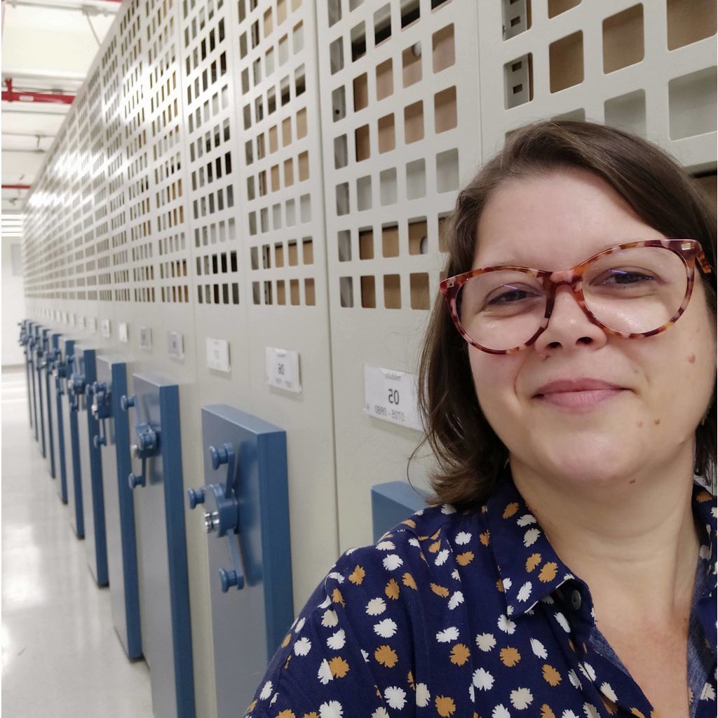 No mercado livreiro do Brasil oitocentista, capas ao gosto do leitor ...