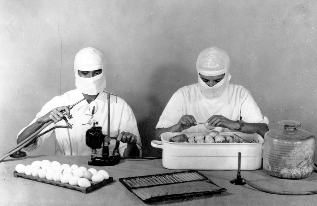 Fiocruz lança livro com fotos inéditas do combate à febre amarela e ...